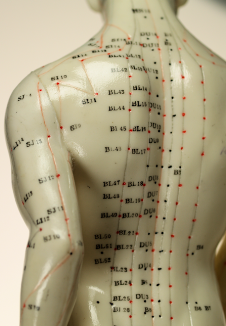 Medical Shiatsu – Santé